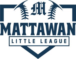 Store Closed Mattawan Little League